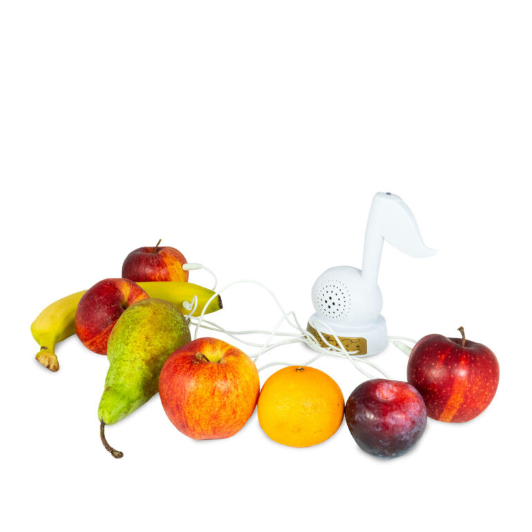 Fruit Instrument - Drum Kit | Scientist Factory