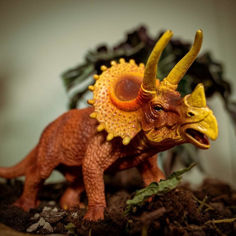 Triceratops dinosaur figure | 19 cm realistic model | The Scientist Factory