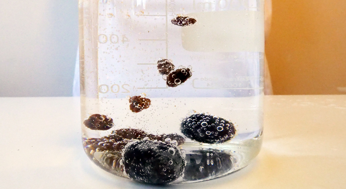 Dancing Raisins | Scientist Factory